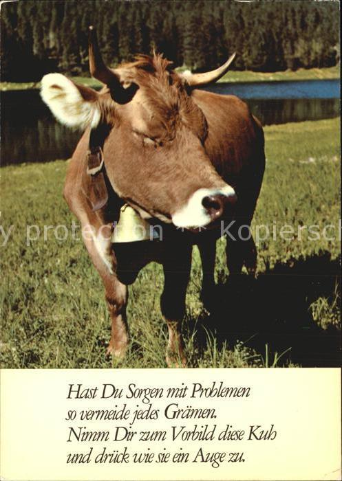 Kuehe Gedicht Kat. Tiere | Ansichtskarten günstig