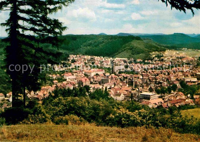 Rodalben Panorama Kat. Rodalben Nr. de20070 - oldthing Ansichtskarten ...
