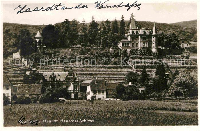 AK / Ansichtskarte Neustadt Haardt Blick vom Haardter Schloss Kat ...