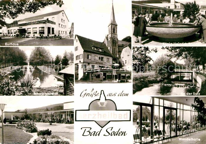 AK / Ansichtskarte Bad Soden Salmuenster Schwanenteich Wandelhalle ...