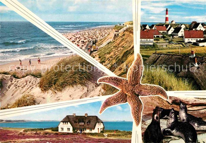 AK / Ansichtskarte Westerland Sylt Strand Duenen Leuchtturm Seehund ...