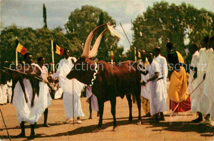 AK / Ansichtskarte Congo Belge Het hoogste eerbewijs dat de Mwami van ...