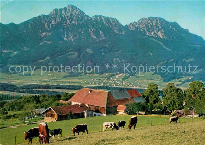 AK / Ansichtskarte Anger Chiemgau Stroblalm Hochstaufen Zwiesel Nr ...