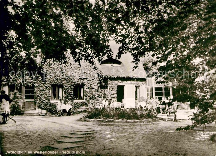 AK / Ansichtskarte Sylt Waldidyll.. | Ansichtskarten günstig