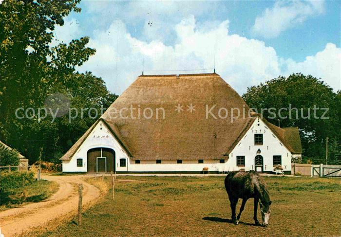 Eiderstedt Karte Kat. Toenning Nr. dk40394 - oldthing: Ansichtskarten ...