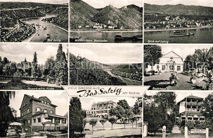 AK / Ansichtskarte Bad Salzig Badehaus Park Hotel Trost Haus Helvetia ...