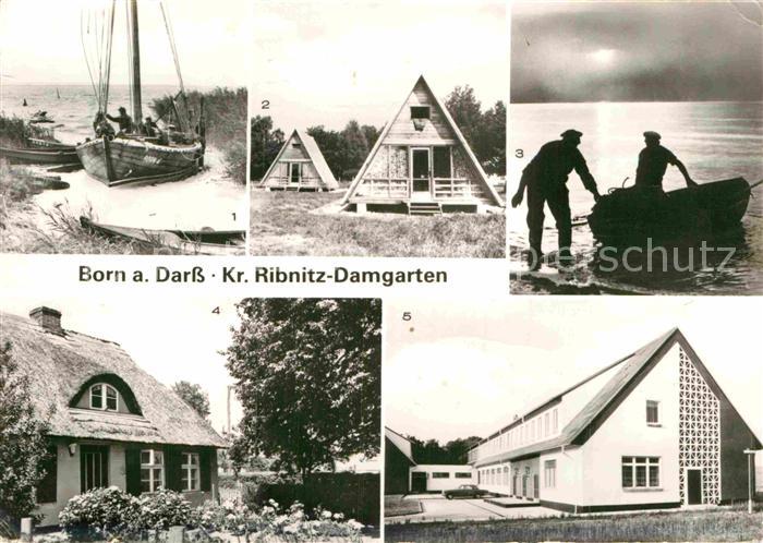 Born Darss Am Saaler Bodden Kat. Born Darss Nr. kv66553 - oldthing ...