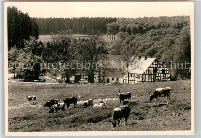 Ak Ansichtskarte Hoheleye Gasthaus Ansichtskarten Günstig