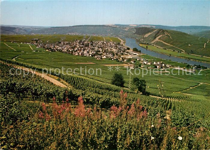 AK / Ansichtskarte Leiwen Mosel Panorama Nr. kc57771 - oldthing ...