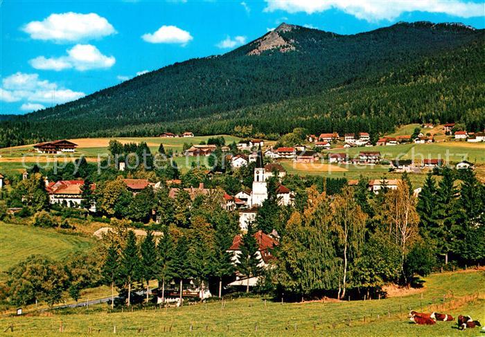 Lohberg Lam Sommerau Panorama Bayerischer Wald Kapelle Kat. Lohberg Nr ...