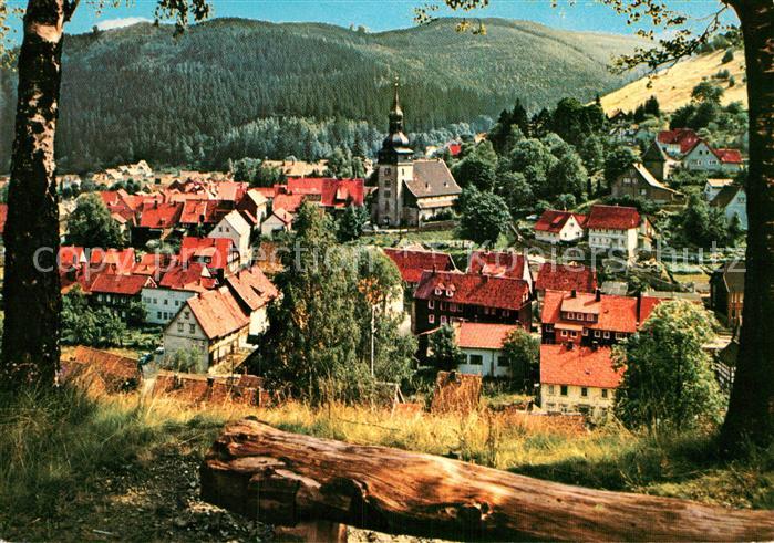 AK / Ansichtskarte Lautenthal Harz Teilansicht mit Kirche vom Waldrand ...