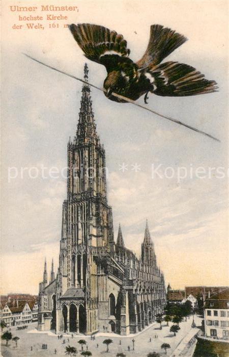 AK / Ansichtskarte Ulm_Donau Muenster Ulmer Spatz Ulm_Donau Nr. wg28866 ...