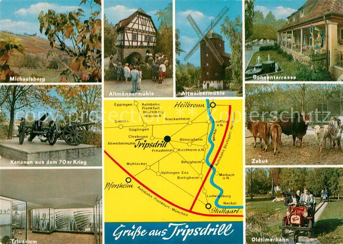 AK / Ansichtskarte Tripsdrill Cleebronn Michaelsberg Kanonen Trillarium ...