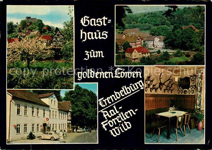 Ak Ansichtskarte Trendelburg Gasthof Zum Goldenen Loewen Kat