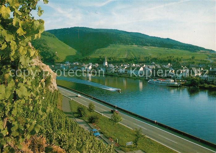 AK / Ansichtskarte Briedern Panorama Moseltal Weinberge Briedern Kat ...