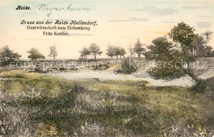 AK / Ansichtskarte Heide_Holstein Panorama Heide_Holstein Nr. wg11110 ...