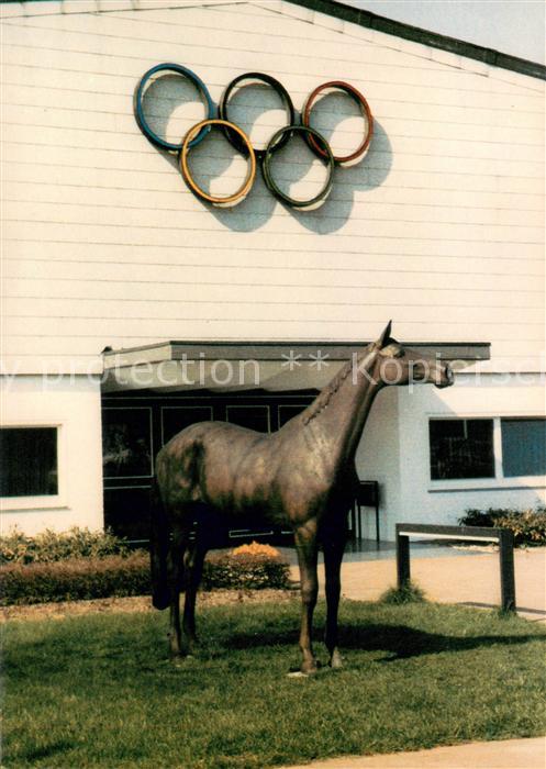 AK / Ansichtskarte Warendorf Wunderpferdstatue Halla 1945 1979 von Hans ...