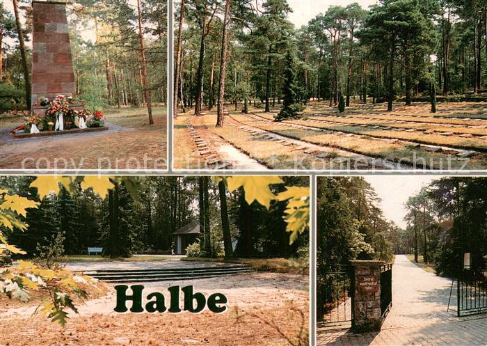 AK / Ansichtskarte Halbe Waldfriedhof Halbe fuer die Opfer aus der ...
