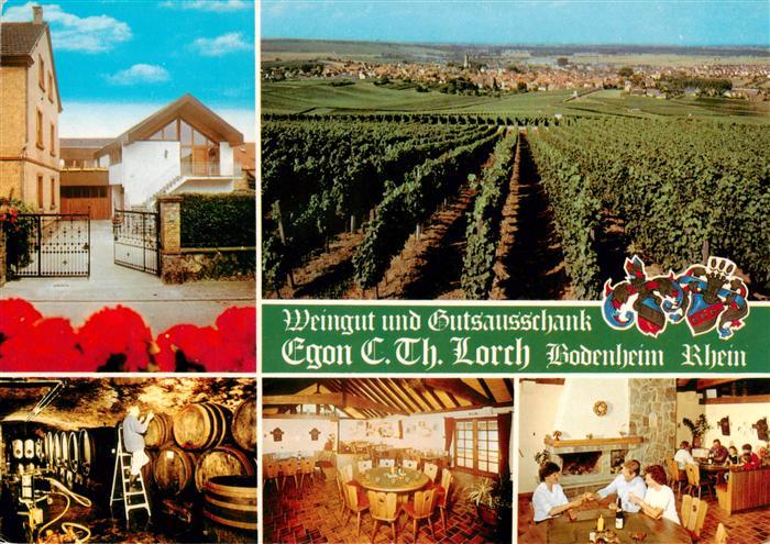 AK / Ansichtskarte 73896998 Bodenheim_Rhein Weingut und Gutsausschank ...