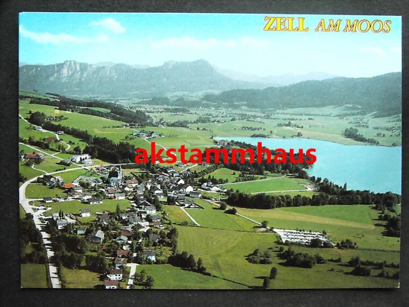 Der Artikel mit der oldthing-id 19377994 ist aktuell ausverkauft.