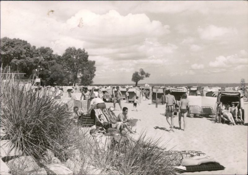 Ansichtskarte Ueckermünde Haffbad mit Gästen und vielen Strandkörben ...