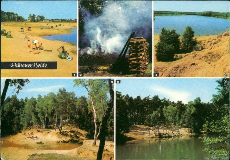 Sachsen-Anhalt Dübener Heide: Bergwitzer See, Kohlenmeier, Roter See ...