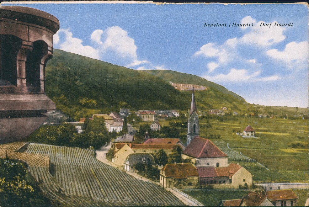 Ak Neustadt an der Haardt Neustadt an der Weinstraße, Blick von der ...