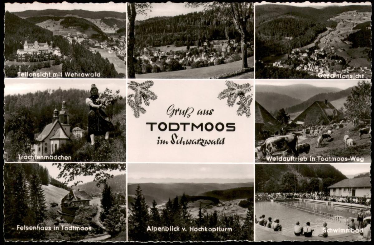 Todtmoos Mehrbildkarte mit Ortsansichten u.a. Schwimmbad uvm. 1958 Nr ...